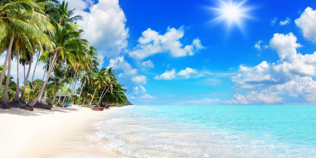 Beach Backdrop - Monte Carlo Productions